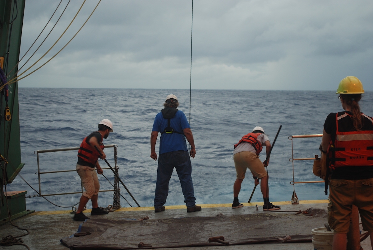 Collecting Open Ocean Sediments for Microbial Analyses