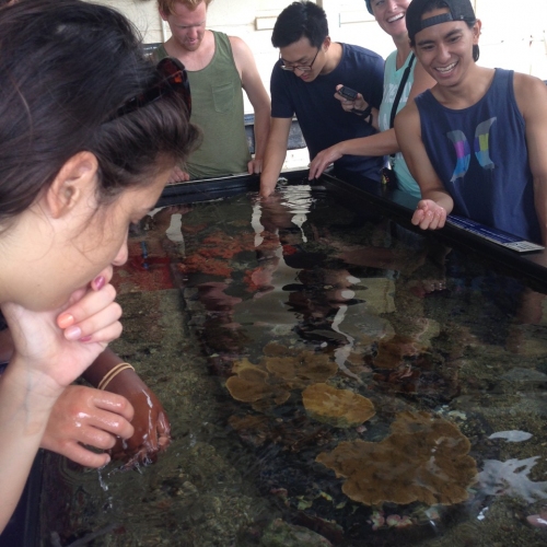 Hawai‘i Institute of Marine Biology